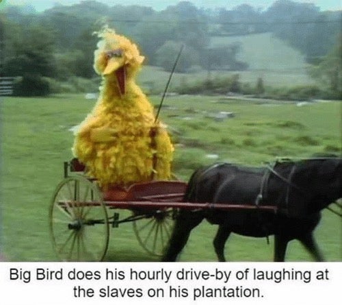 Big Bird's Shockingly Dark Life on the Internet