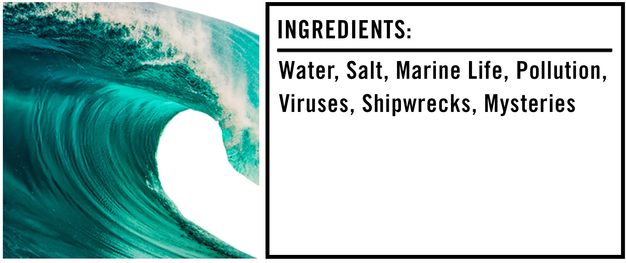 What's in This?: The Ocean | MEL Magazine