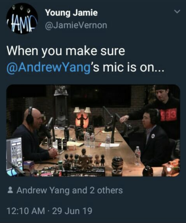 Andrew Yang Memes: Why the Yang Gang Surged for Election 2020