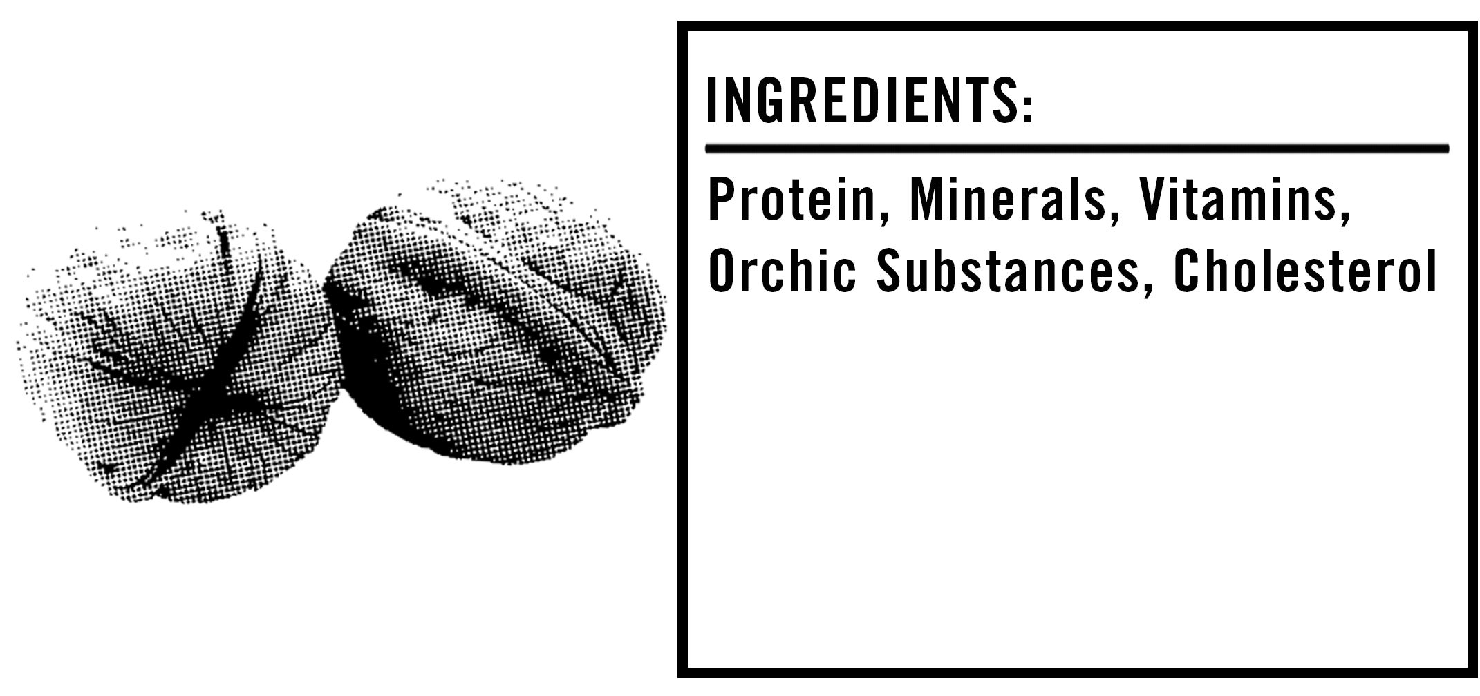 What’s in This?: Balls