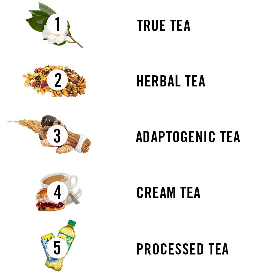 Healthiest Tea: What's the Best Tea for Anxiety, Stress, Body and Mind?