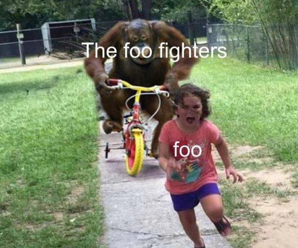 Thank the Foo Fighters for Keeping Us Safe From Foo