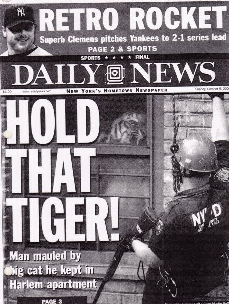 Meet Antoine Yates, the Forgotten Tiger King of Harlem