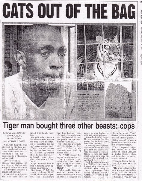 Meet Antoine Yates, the Forgotten Tiger King of Harlem