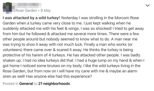 The Saga of Gerald, the Turkey From Hell, Who Nearly Destroyed Oakland