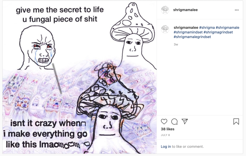 Welcome to the Glorious Age of the Shrigma Male