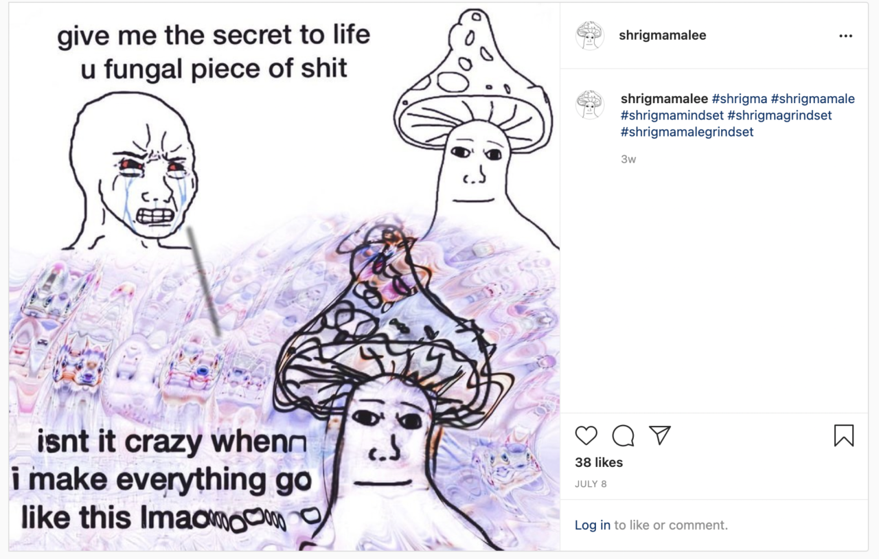 Welcome to the Glorious Age of the Shrigma Male