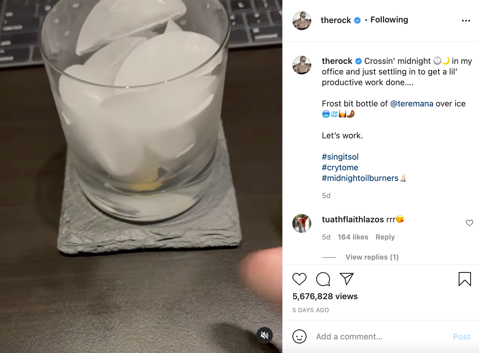 The Rock's Instagram: What Is Wrong with The Rock's Ice Cubes?