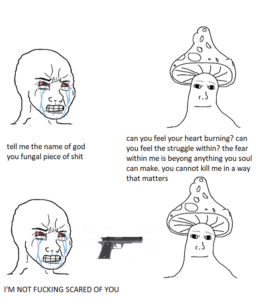 Welcome to the Glorious Age of the Shrigma Male