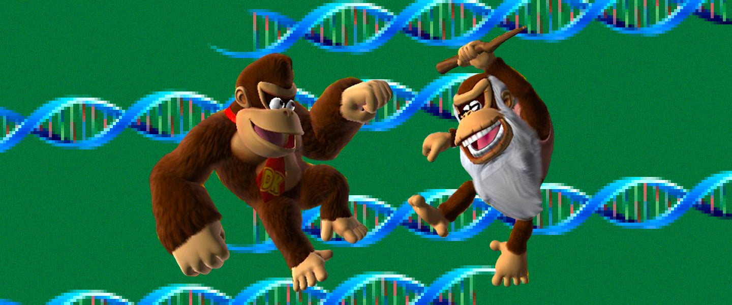 Donkey Kong Family Members Meet The Kongs 🤎 Donkey Kong, Funky