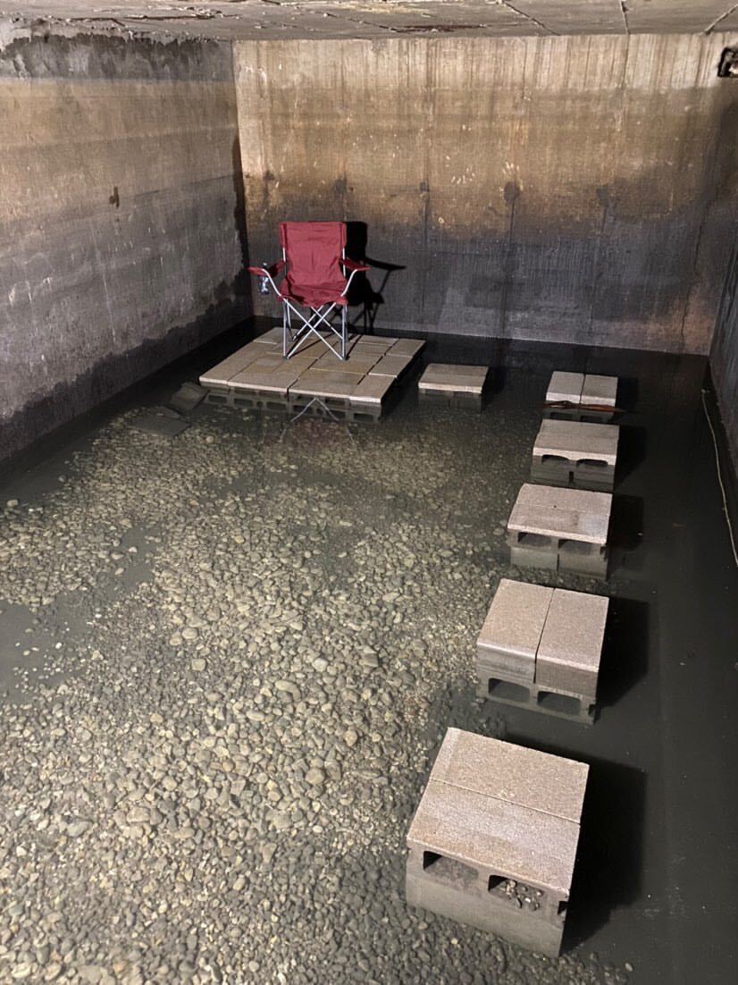 TikTok’s Highly Anticipated Eel Pit Is Finally Revealed