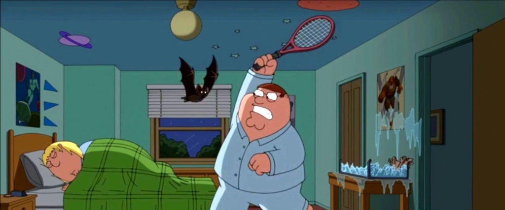 People Are Sharing Hilarious Stories of Their Dads Chasing Bats Out of ...