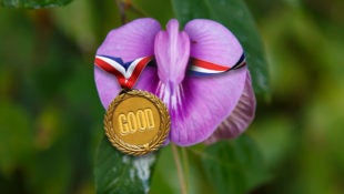 Madeleine Holden, Author at MEL Magazine