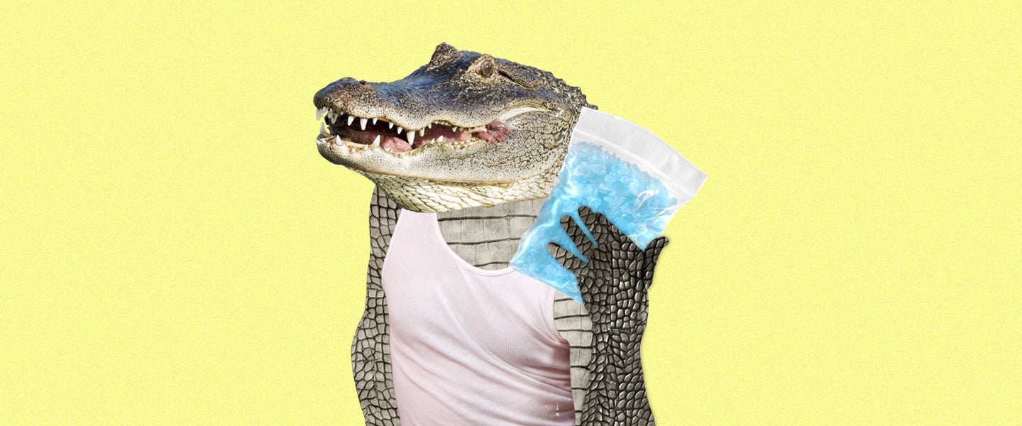 Okay, Meth Gators Aren’t Real, But What If They Were?