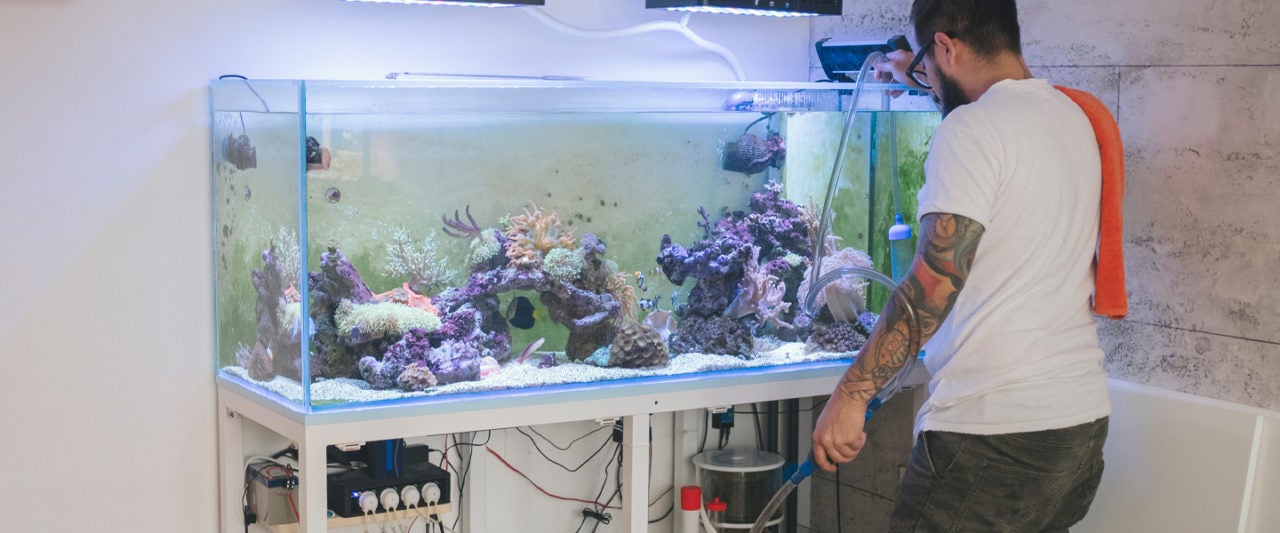 Aquarium Dudes Want You to Know That Fish Make Great Pets, Too