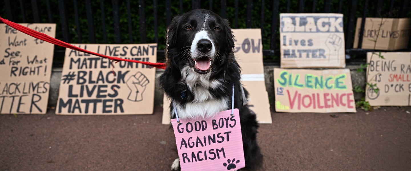 Dogs at Protests: Should I Bring My Dog to a Protest?