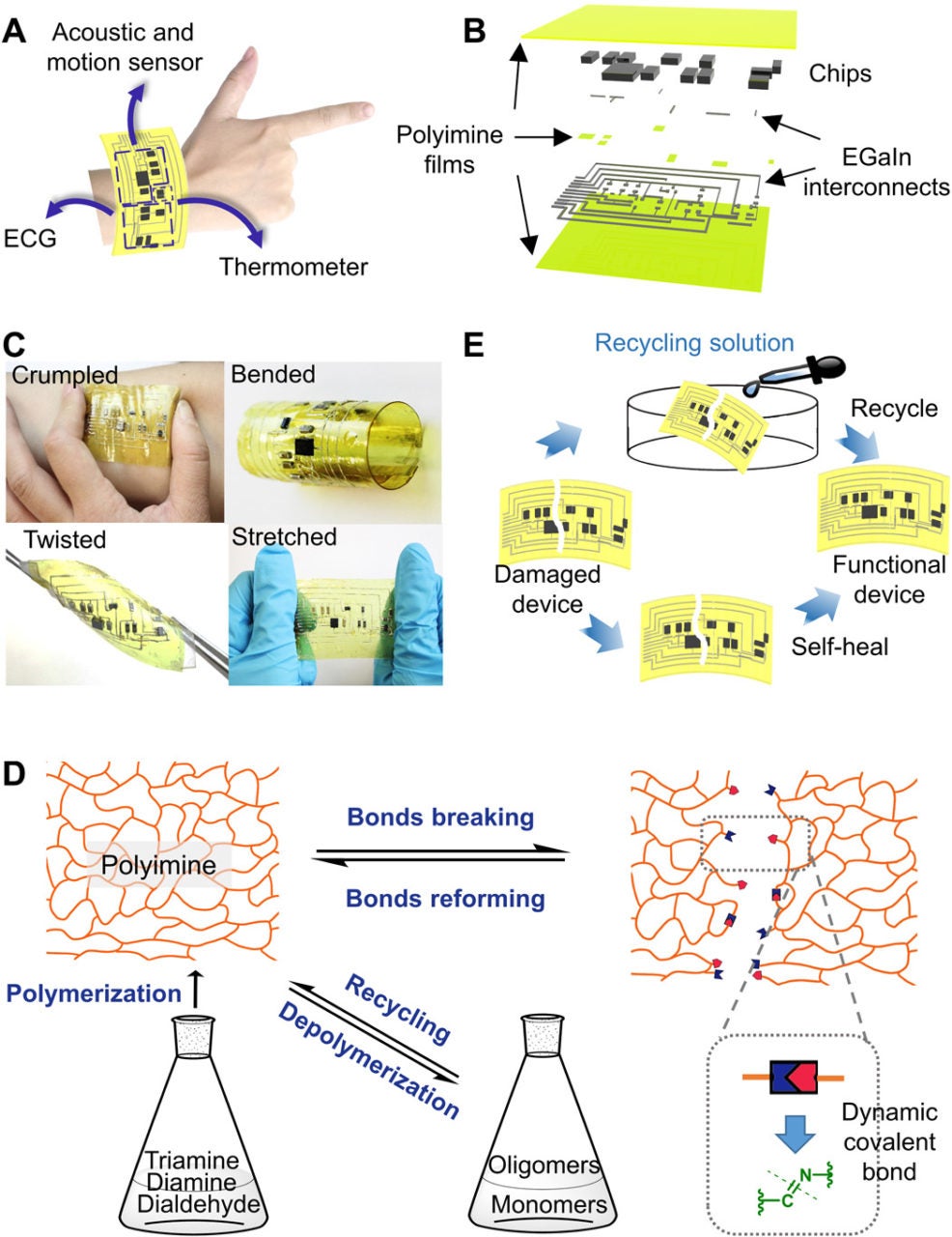 Wearable Tech: Electronic Skin May Replace Smart Watches