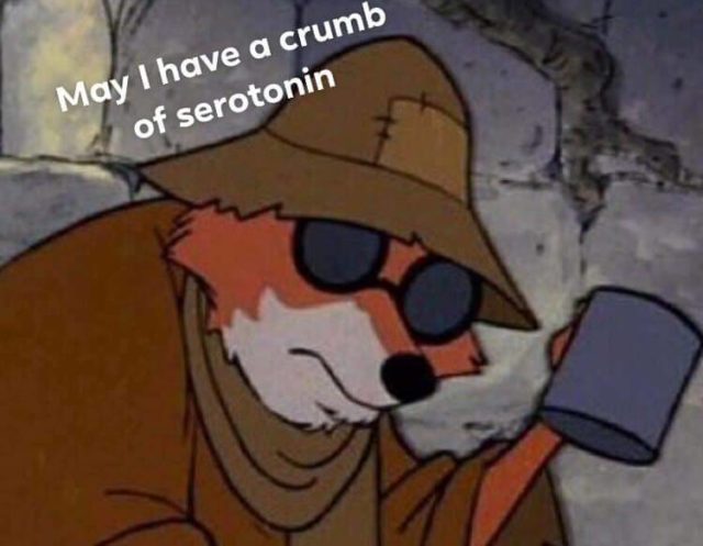 Serotonin Memes: We're Down to Our Last Crumbs of Happiness
