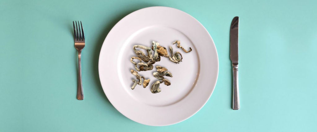 Ways to Take Shrooms: What’s the Best Way to Eat Shrooms?