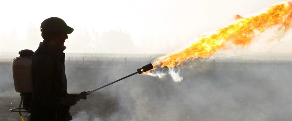 Why Are My Farts Hot If They Come Out at Body Temperature?