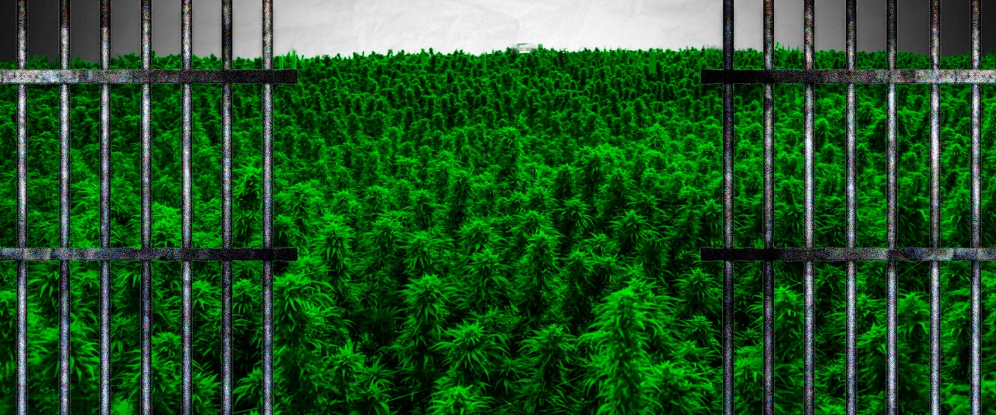 Why Is Anyone Still in Prison for Weed?