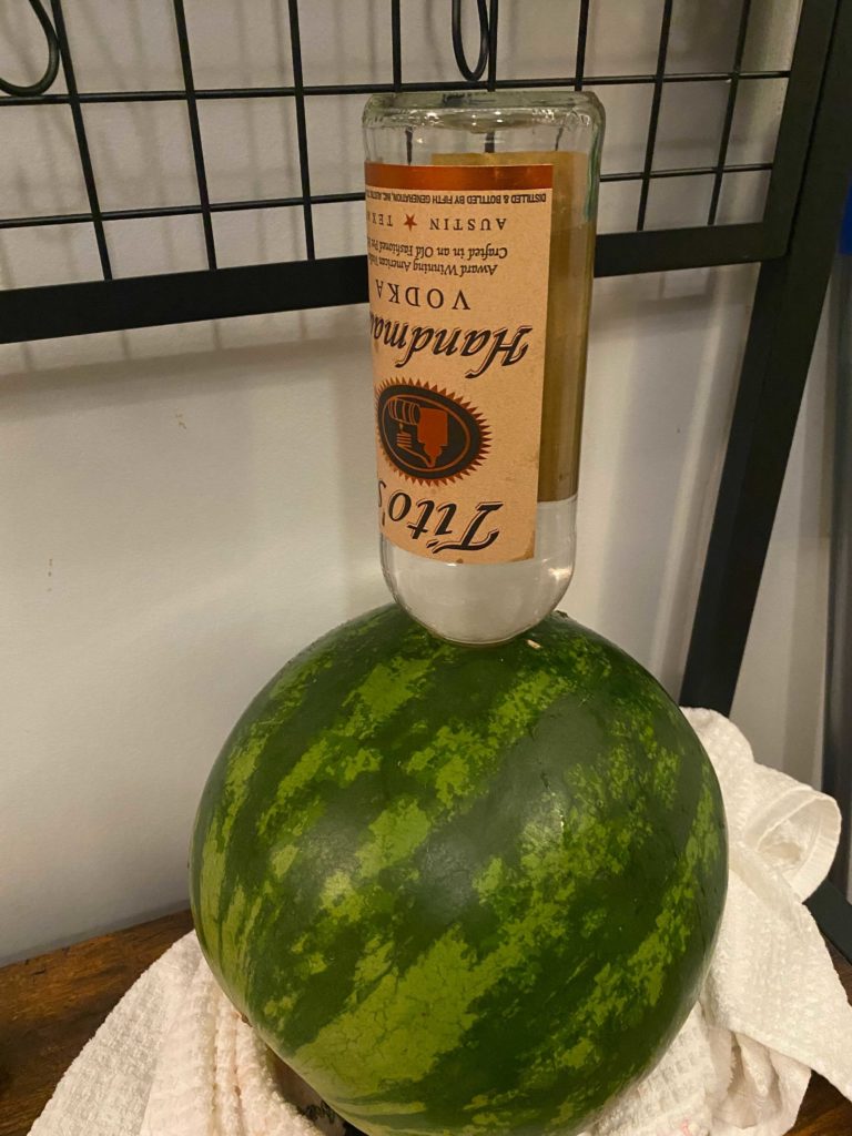 The Boozy Nostalgia of a Vodka-Infused Watermelon