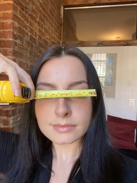 What is the Average Penis Size?: A Visual Guide