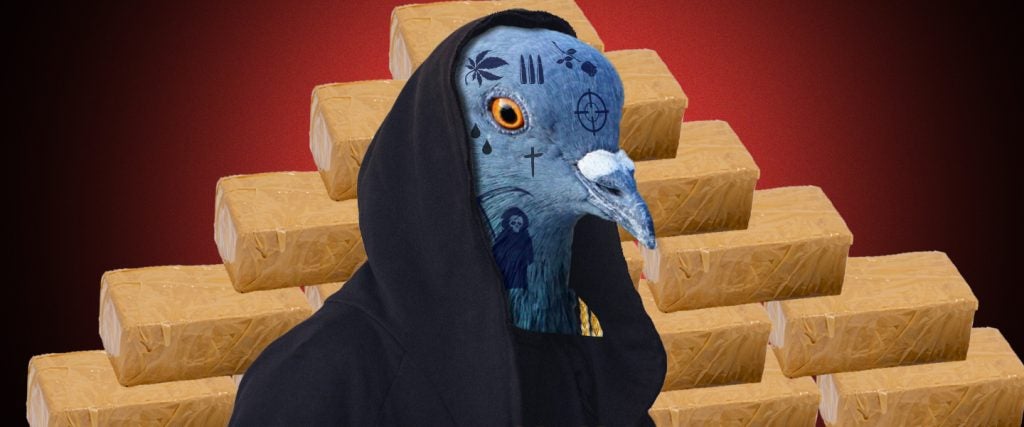 Felonious Birds: Pigeon Spies, Cartel Lookout Parrots and Killer Subway ...