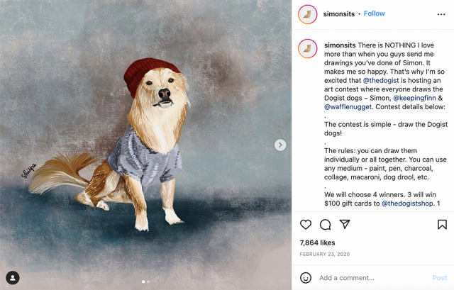 I’m Jealous of Simon, My Sister’s Instagram-Famous Dog