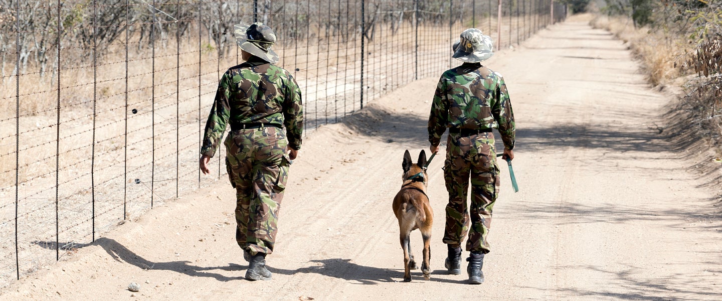 How Highly Trained Anti-Poaching Dogs Are Saving Rhinos in Africa