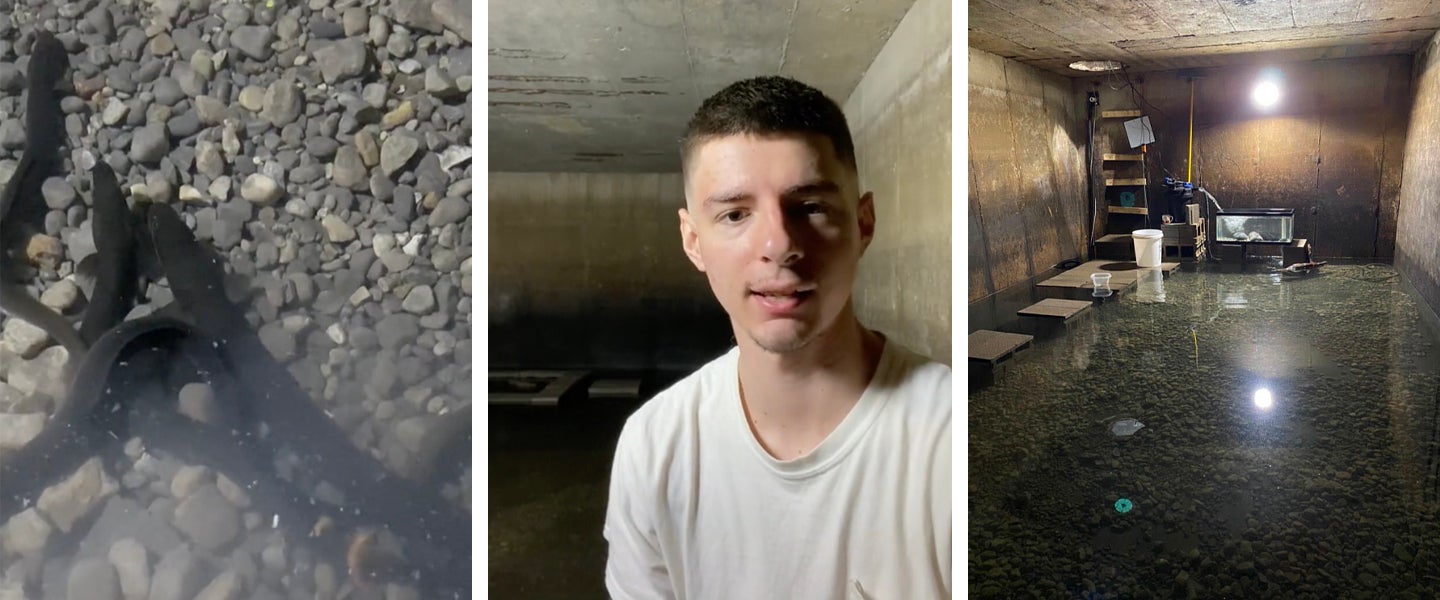 TikTok’s Highly Anticipated Eel Pit Is Finally Revealed